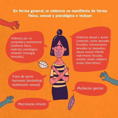Prevención de la Violencia contra las Mujeres y las Niñas - COPREV